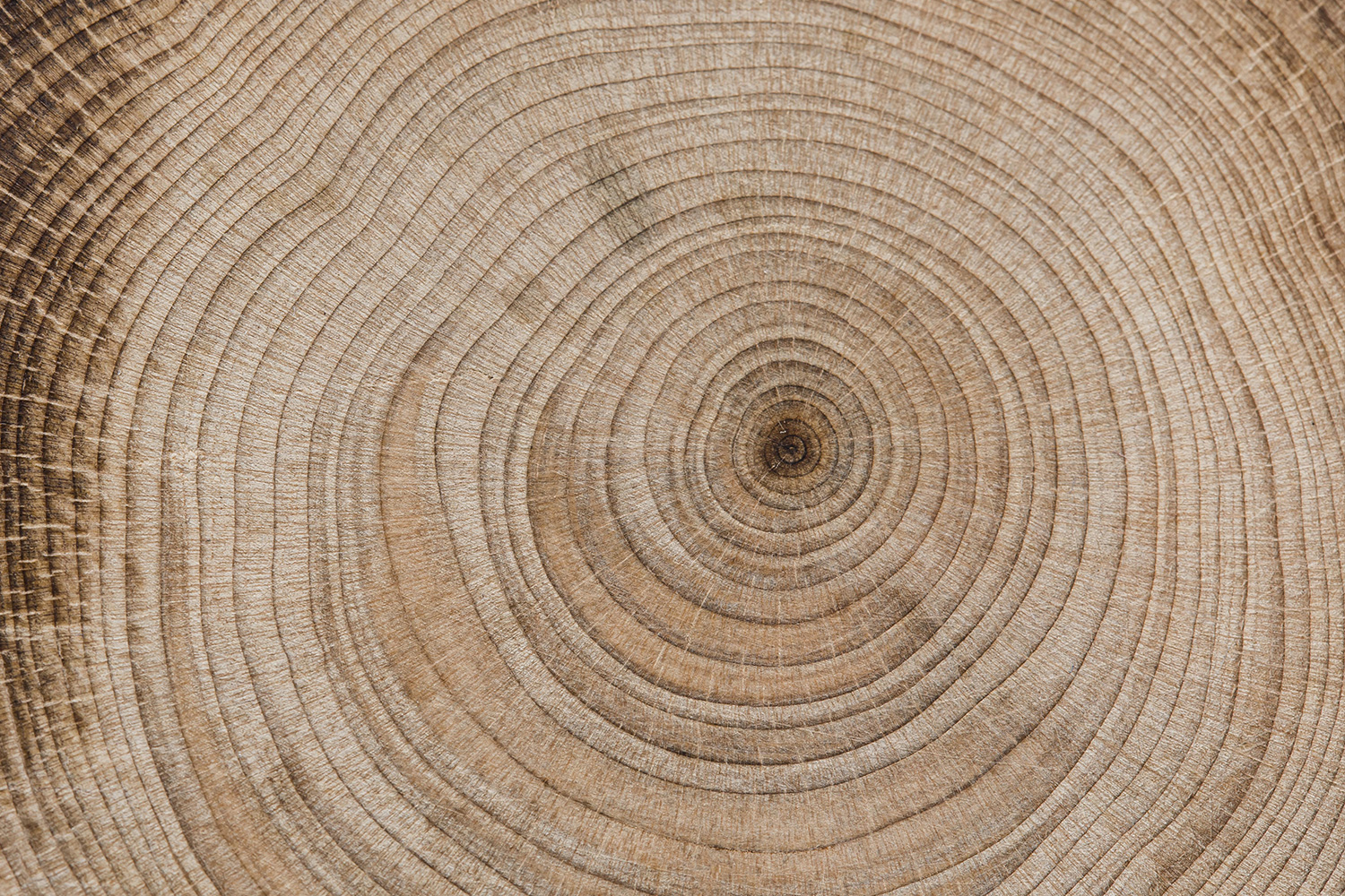 EXPADEX - Négociant, Distributeur, Fournisseur